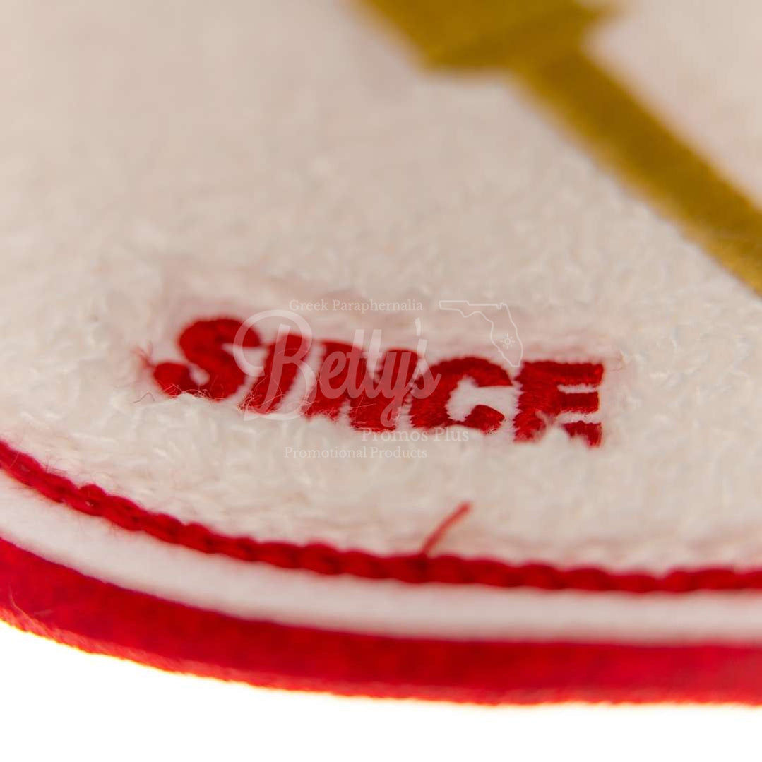 Delta Sigma Theta ΔΣΘ Torch Embroidered Iron-On Chenille Patch – Betty ...